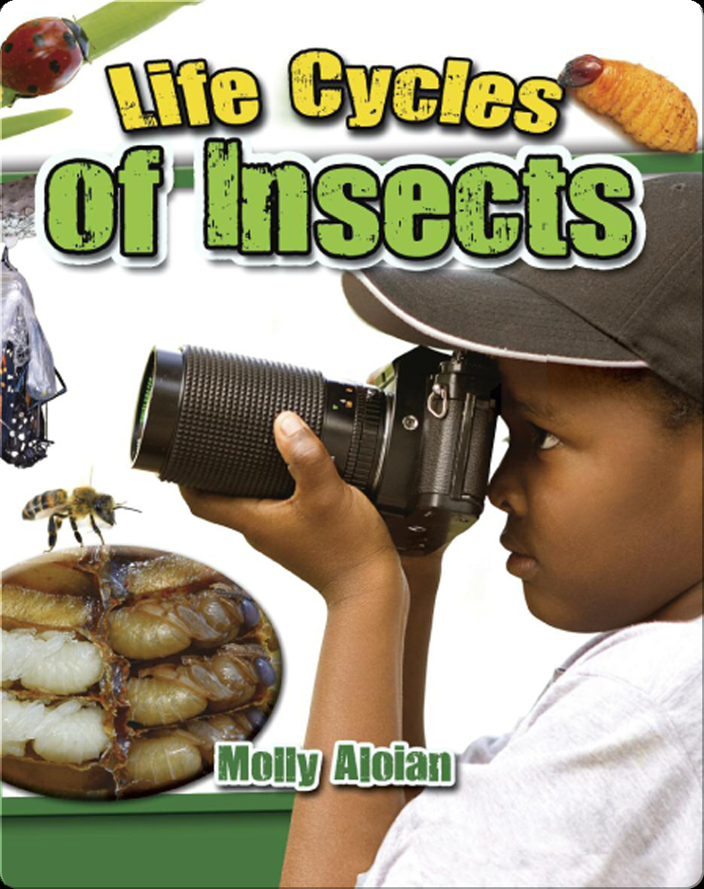 Life Cycles of Insects Book by Molly Aloian | Epic