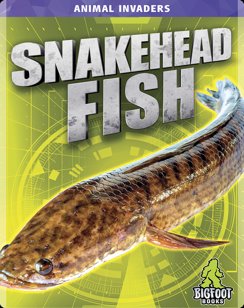 Animal Invaders: Snakehead Fish Book by Jody Jensen Shaffer | Epic