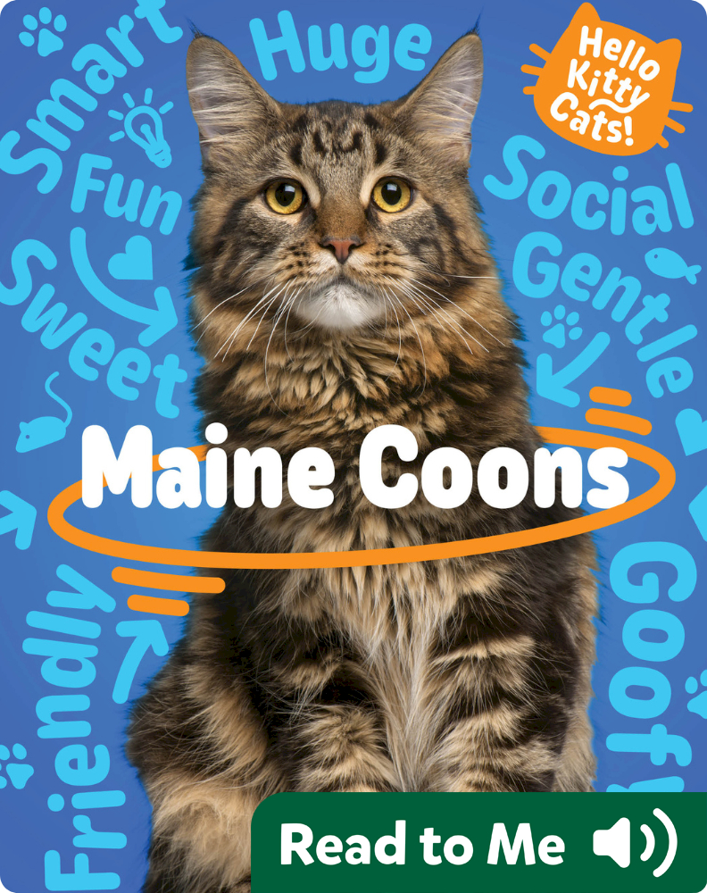 Hello Kitty Cats! Maine Coons Book by Emmie Chang | Epic