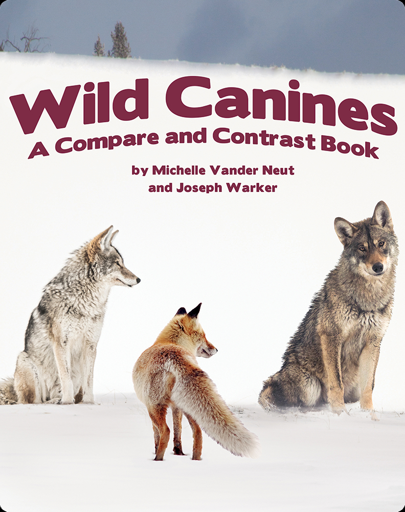 Wild Canines: A Compare and Contrast Book Book by Michelle Vander Neut ...
