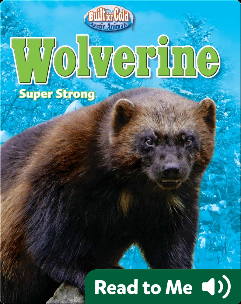 Wolverine: Super Strong Book by Joyce Markovics | Epic