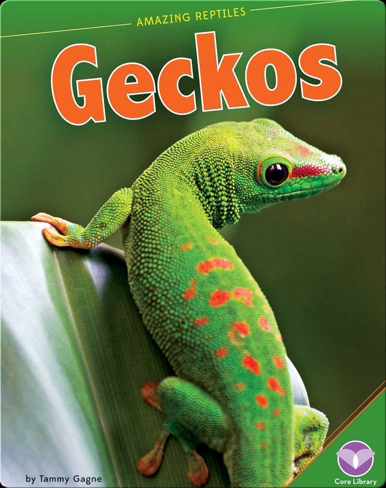 Amazing Reptiles: Geckos Book by Tammy Gagne | Epic