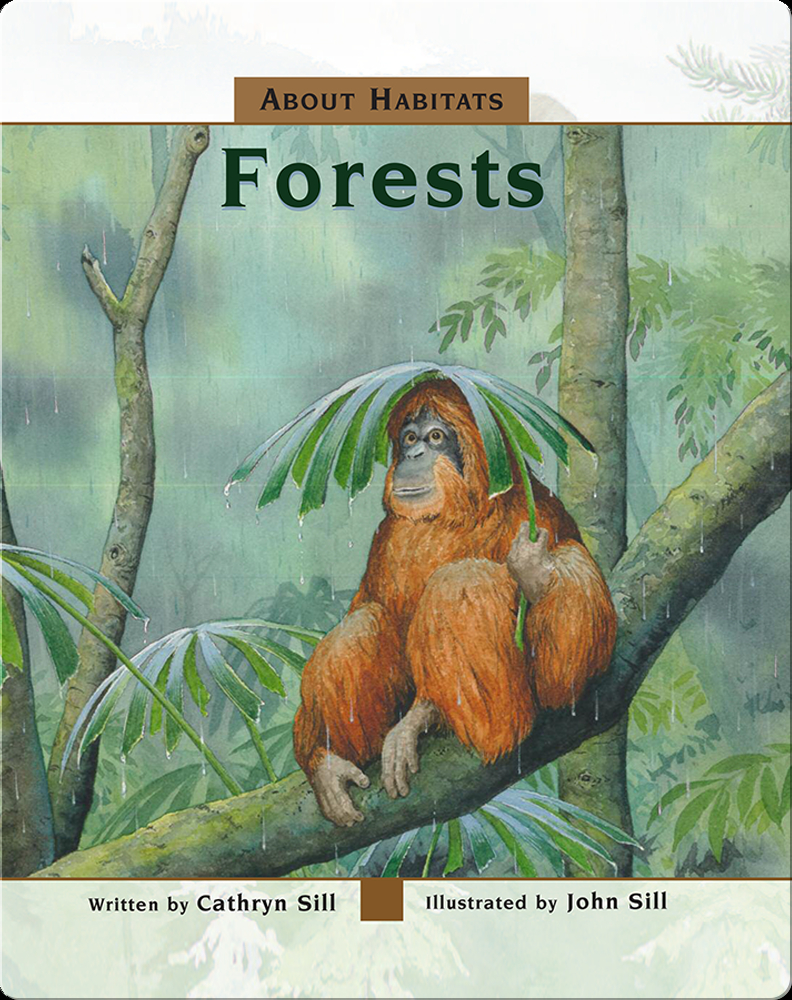 About Habitats: Forests Book by Cathryn Sill | Epic