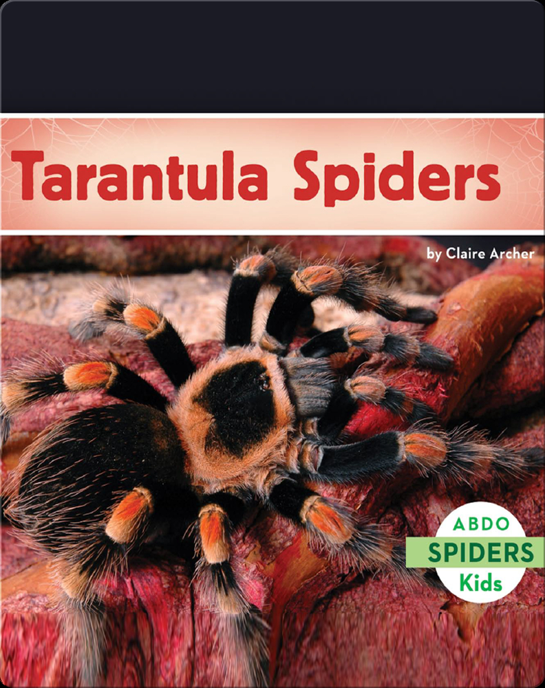 Tarantula Spiders Book by Claire Archer | Epic