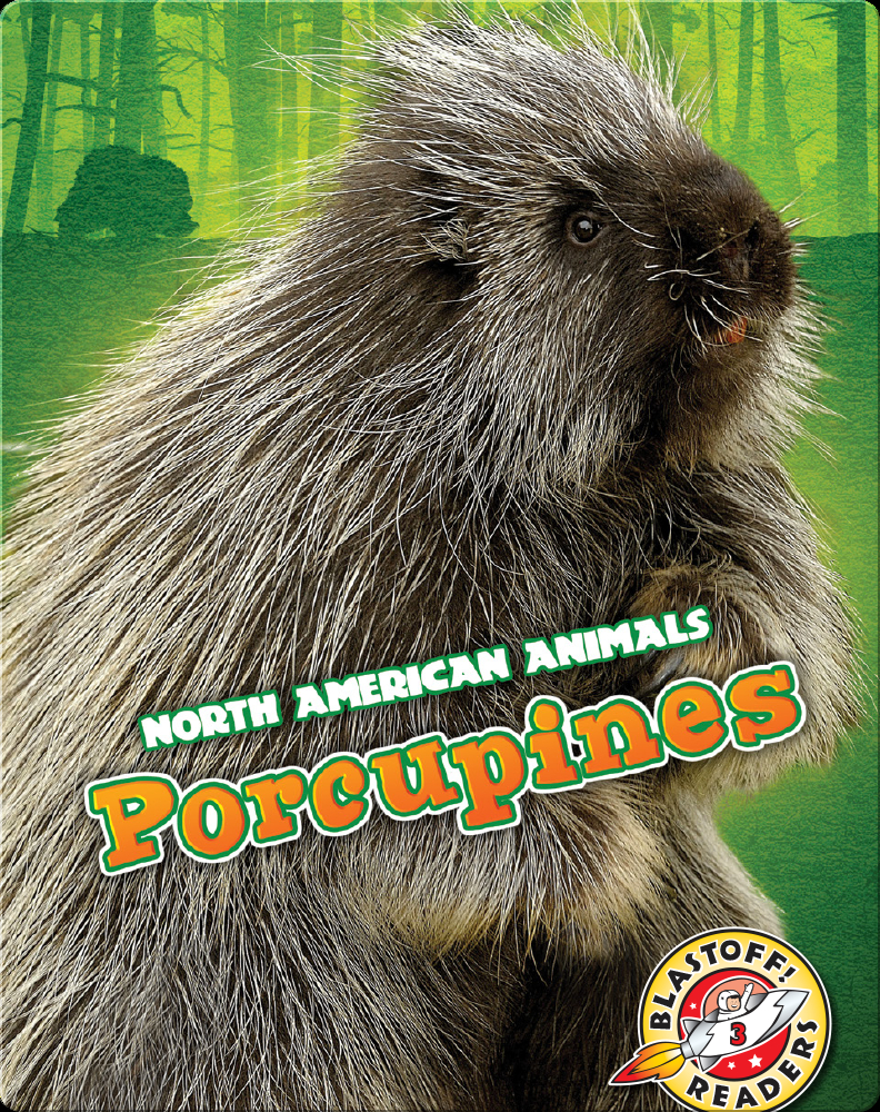 North American Animals: Porcupines Book by Christina Leaf | Epic