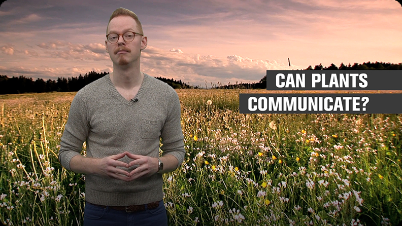 Can Plants Communicate? Video | Discover Fun and Educational Videos ...