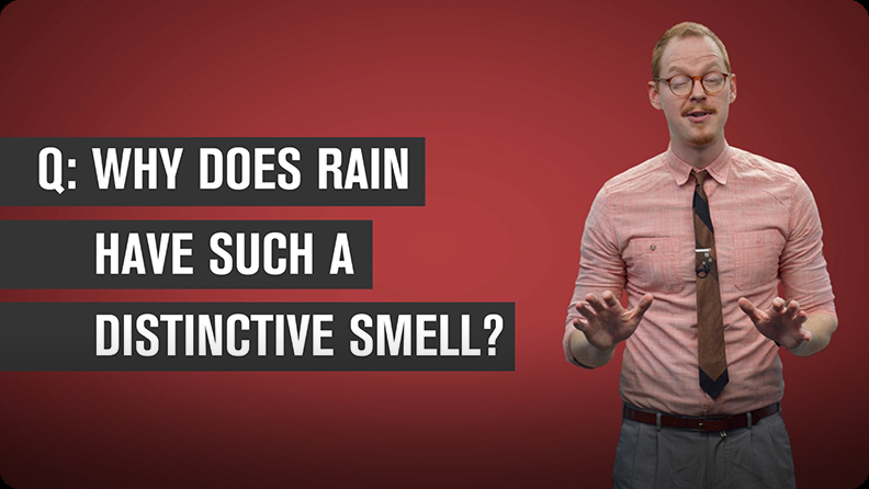 Why Does Rain Have a Distinctive Smell? Video | Discover Fun and ...