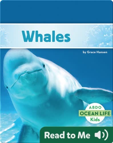Whales Children's Book Collection | Discover Epic Children's Books ...
