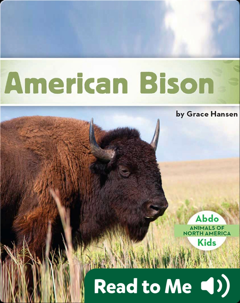 American Bison Book by Grace Hansen | Epic