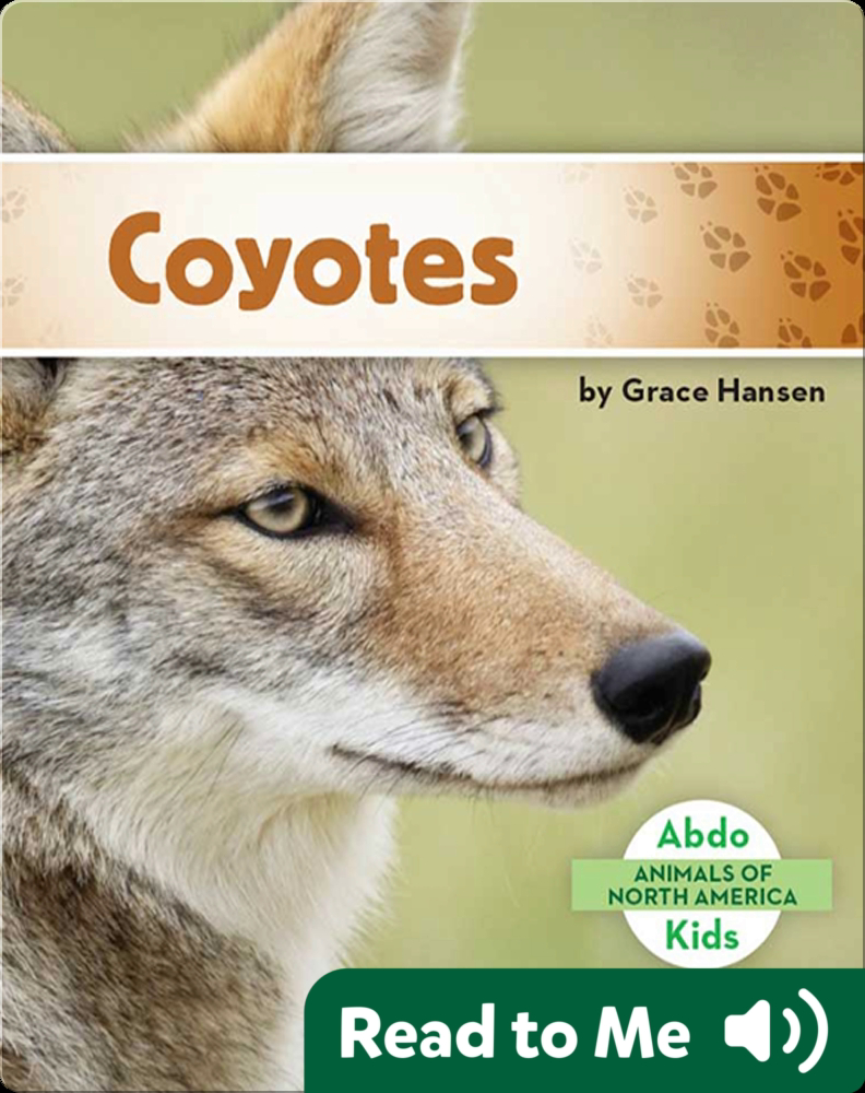 Coyotes Book by Grace Hansen | Epic