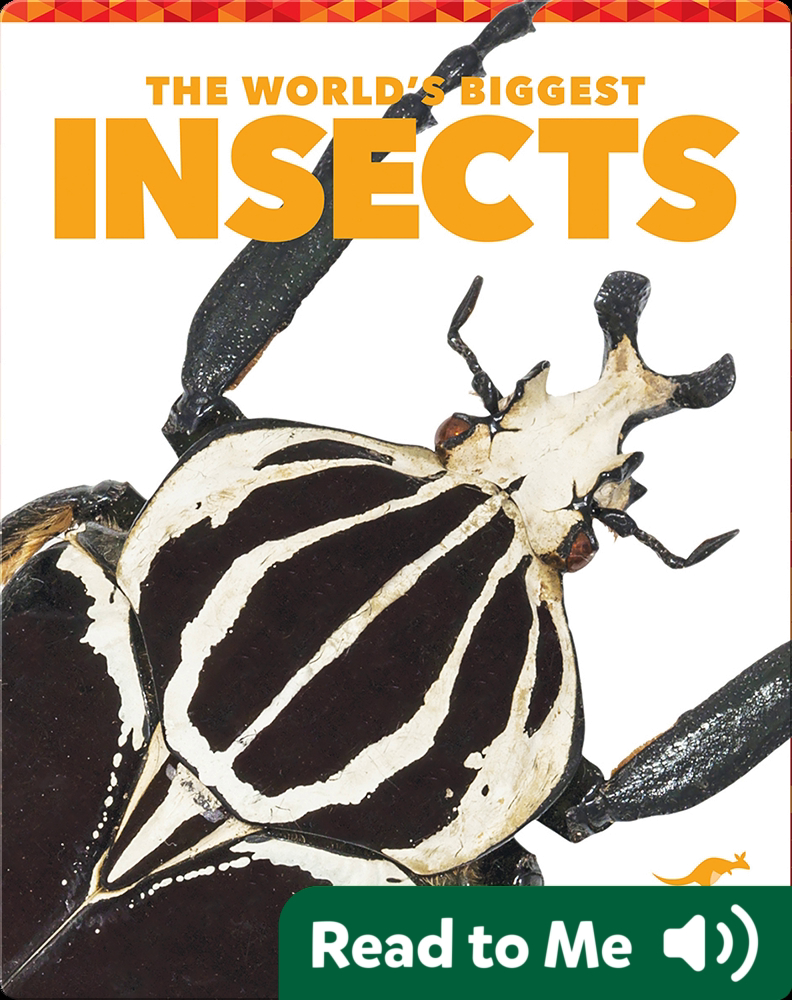 The World's Biggest Insects Book by Mari Schuh | Epic