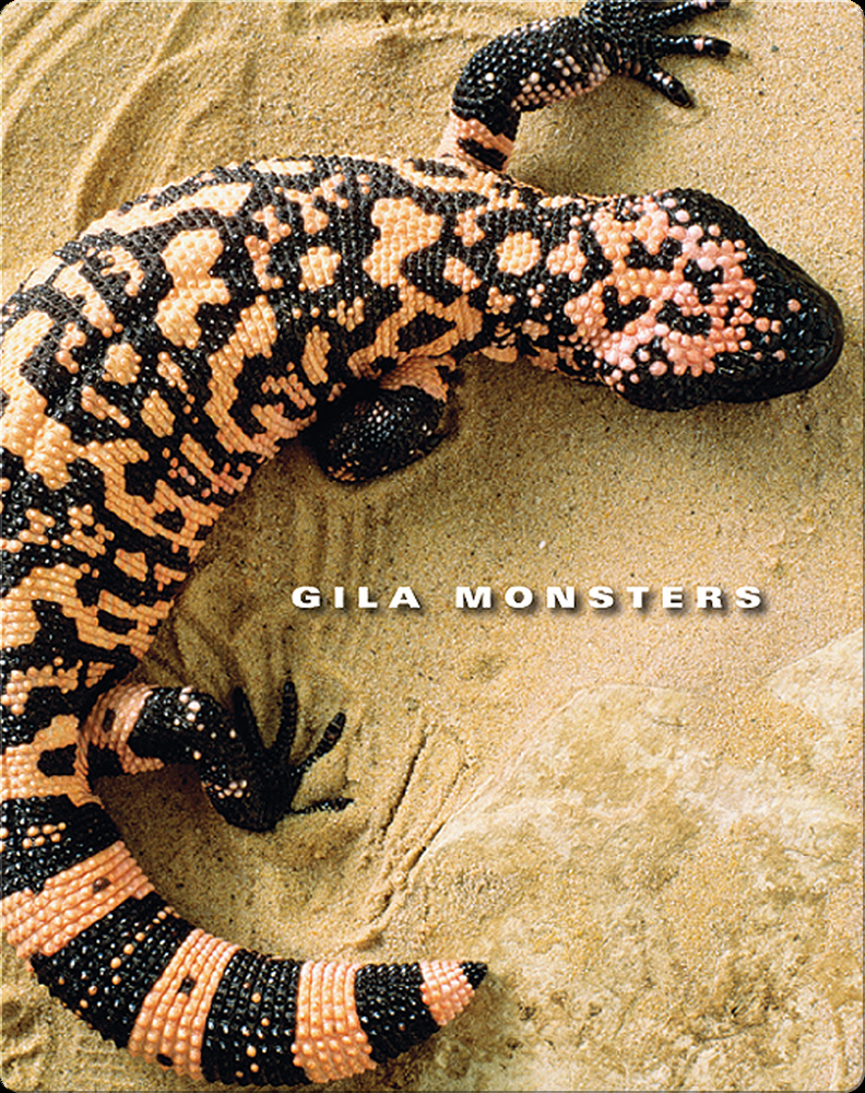 Gila Monsters Book by Sophie Lockwood | Epic