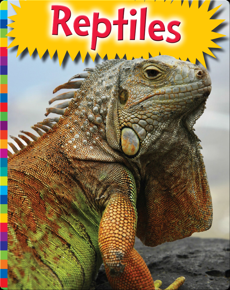 Reptiles Book by Michelle Levine | Epic