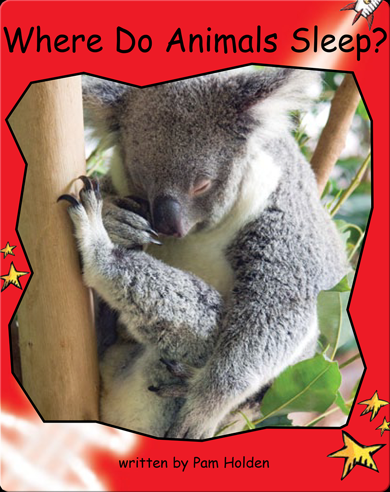 Where Do Animals Sleep? Book by Pam Holden | Epic
