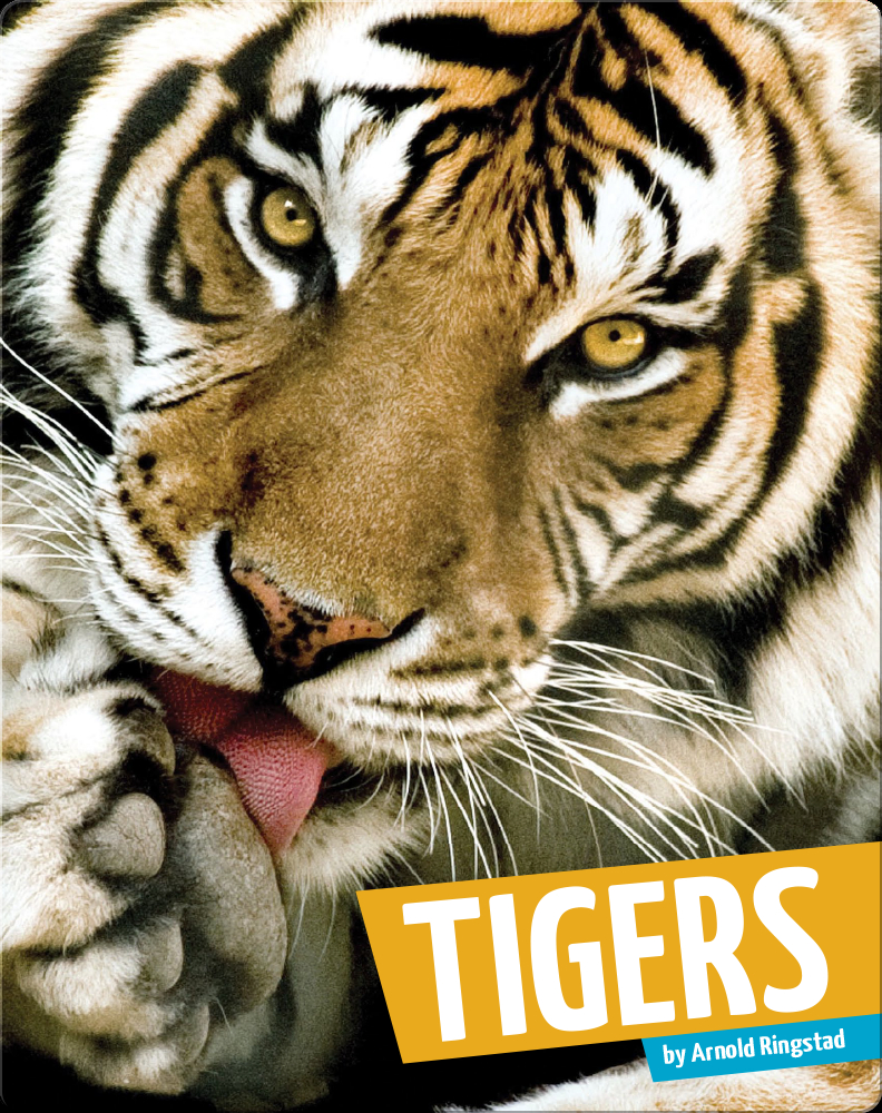 Tigers Book by Arnold Ringstad | Epic