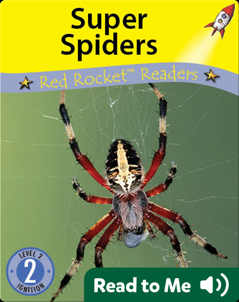 Super Spiders Book by Pam Holden | Epic