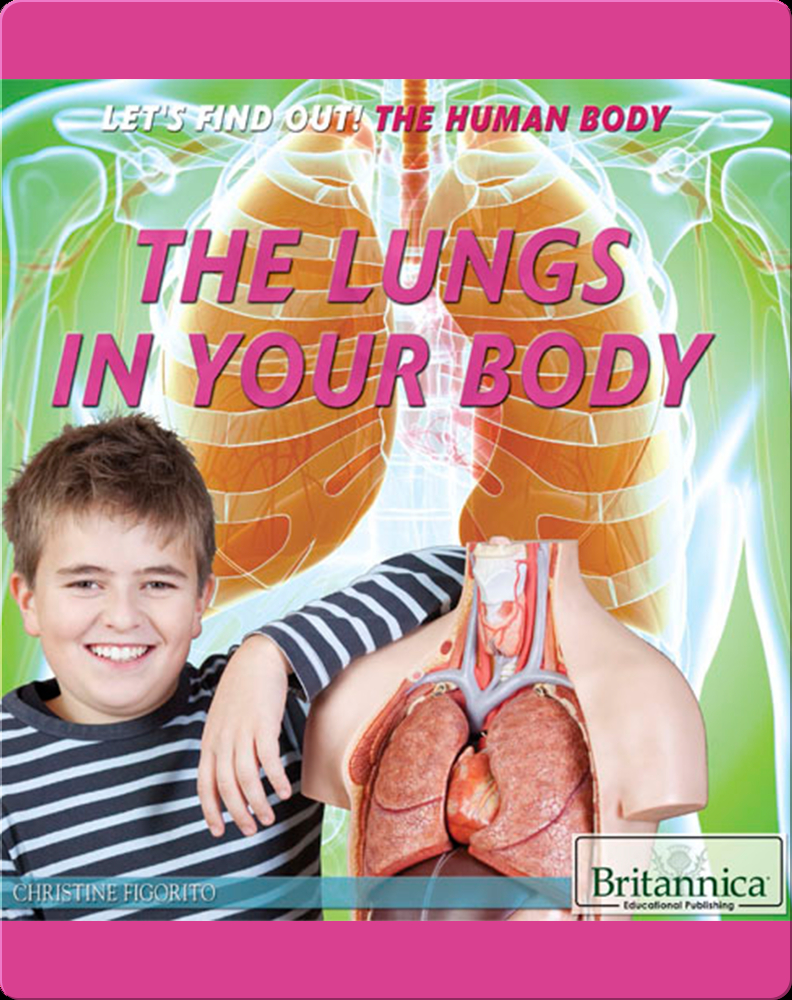 The Lungs in Your Body Book by Christine Figorito | Epic