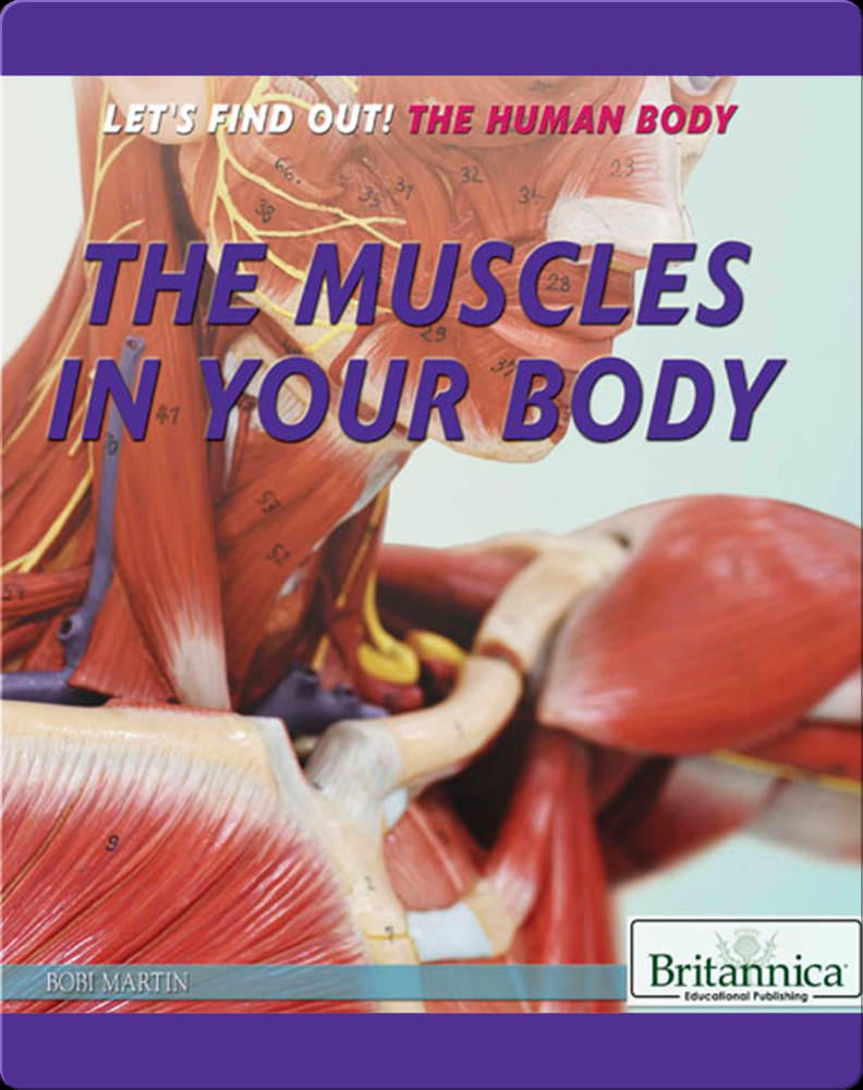 The Muscles in Your Body Book by Bobi Martin | Epic