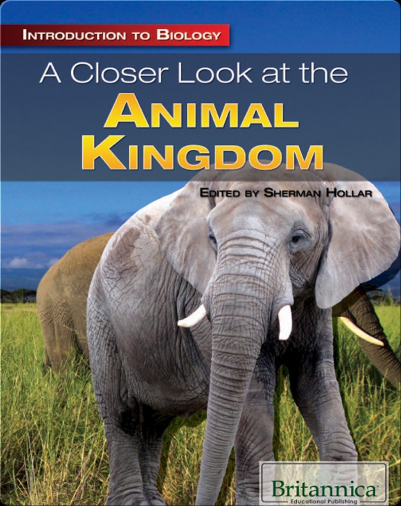 A Closer Look at the Animal Kingdom Book by Sherman Hollar | Epic