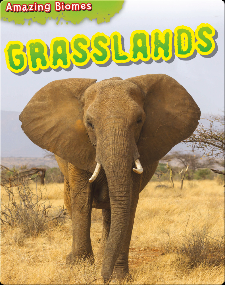 Grasslands Book by Leon Gray | Epic