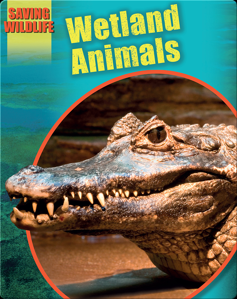 Wetland Animals Book by Sonya Newland | Epic