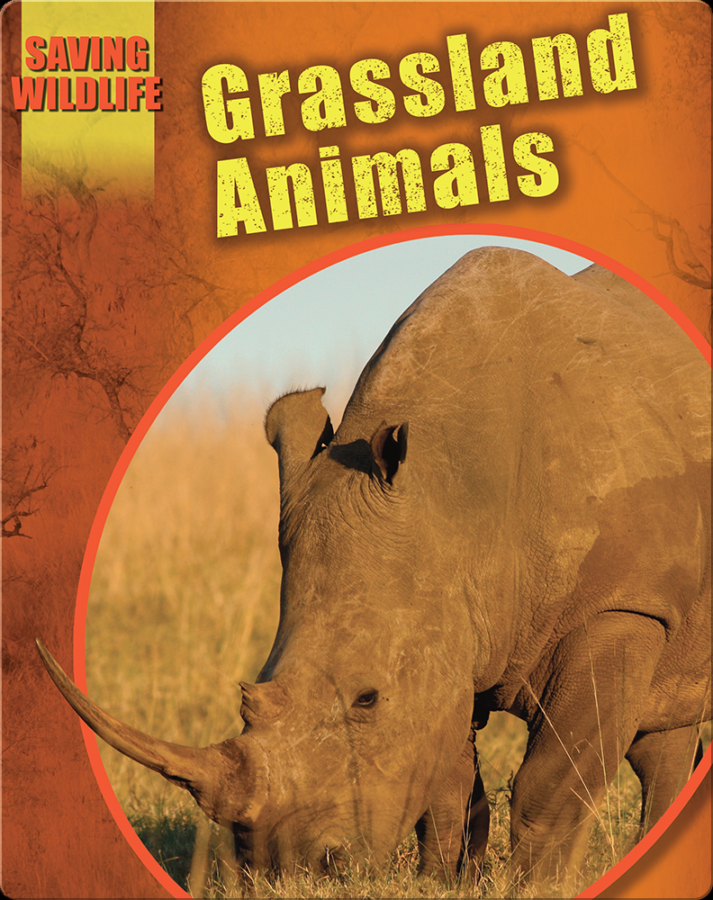 Grassland Animals Book by Sonya Newland | Epic