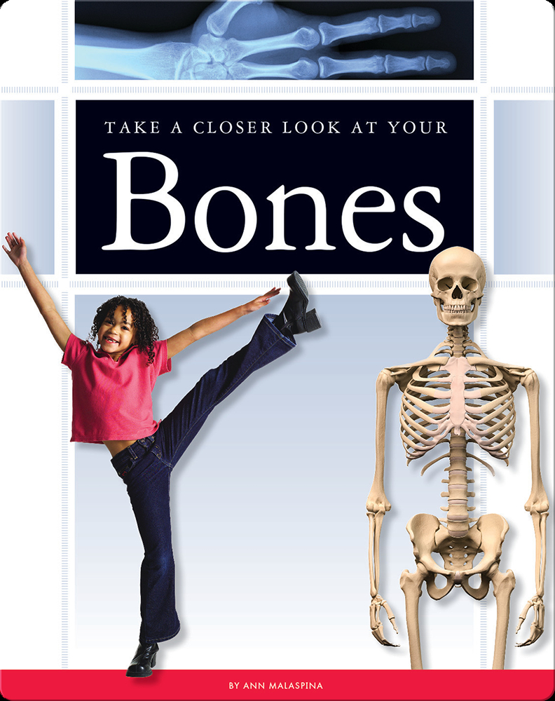 Take a Closer Look at Your Bones Book by Ann Malaspina | Epic
