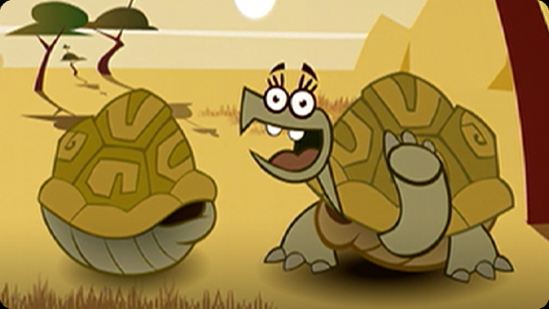 I'm a Turtle Video | Discover Fun and Educational Videos That Kids Love ...