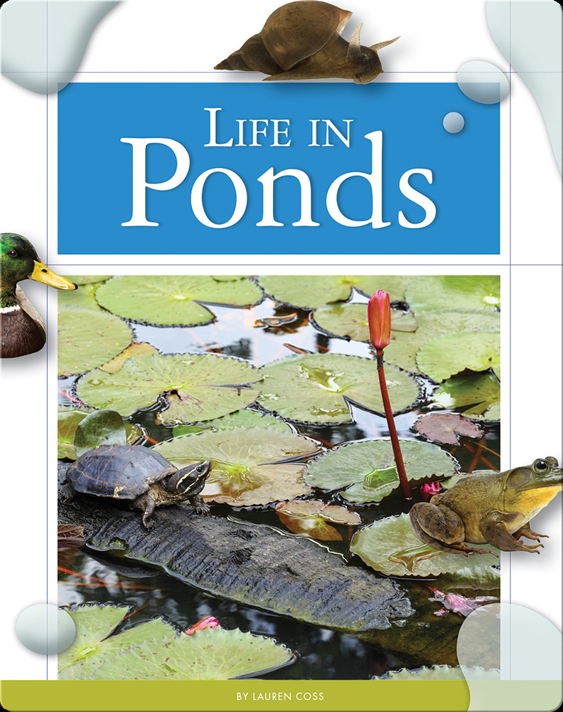 Life in Ponds Book by Lauren Coss | Epic