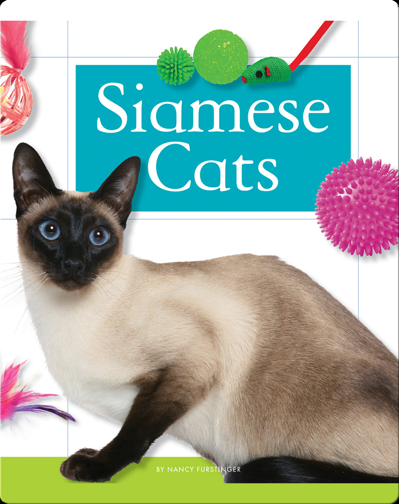 Siamese Cats Book by Nancy Furstinger | Epic