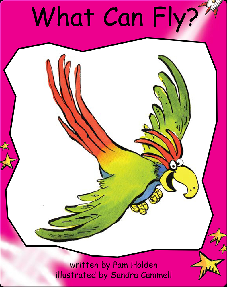 What Can Fly? Book by Pam Holden | Epic