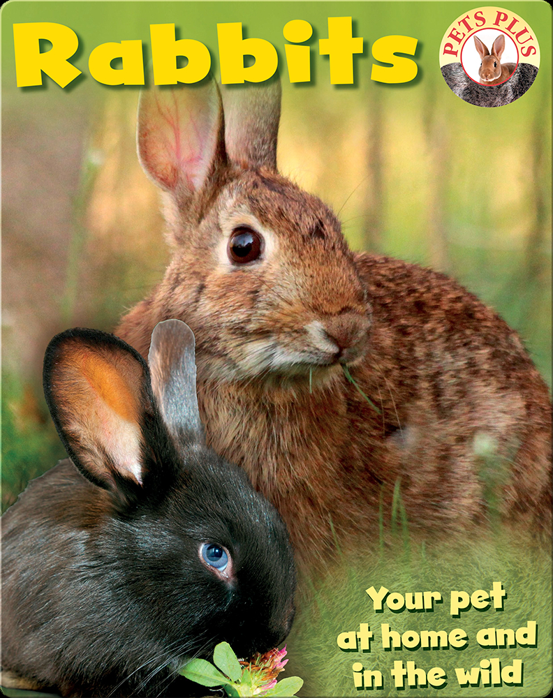 Rabbits Book by Sally Morgan | Epic