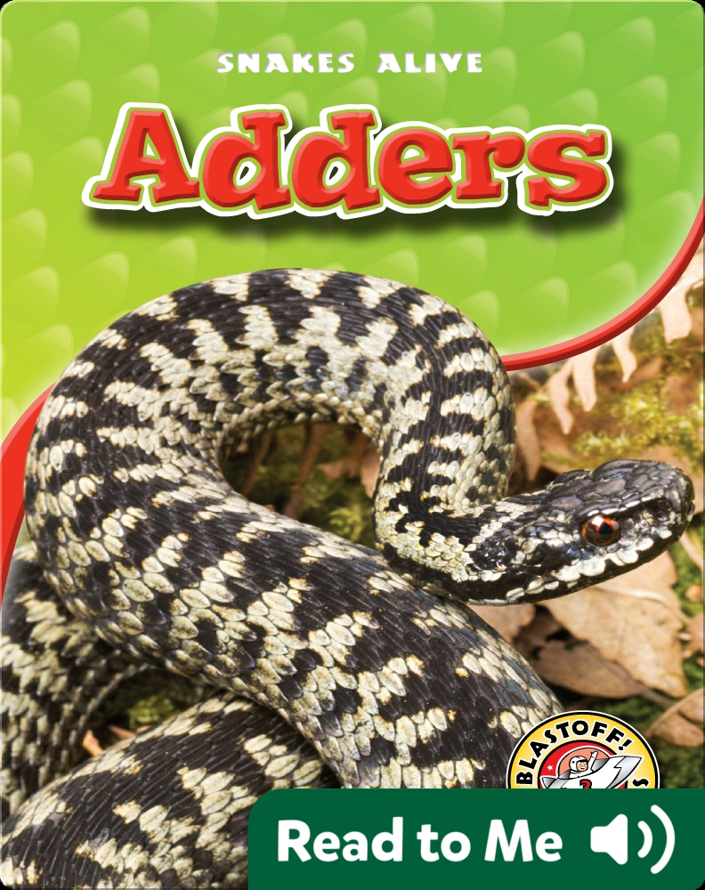 Adders Book by Ellen Frazel | Epic