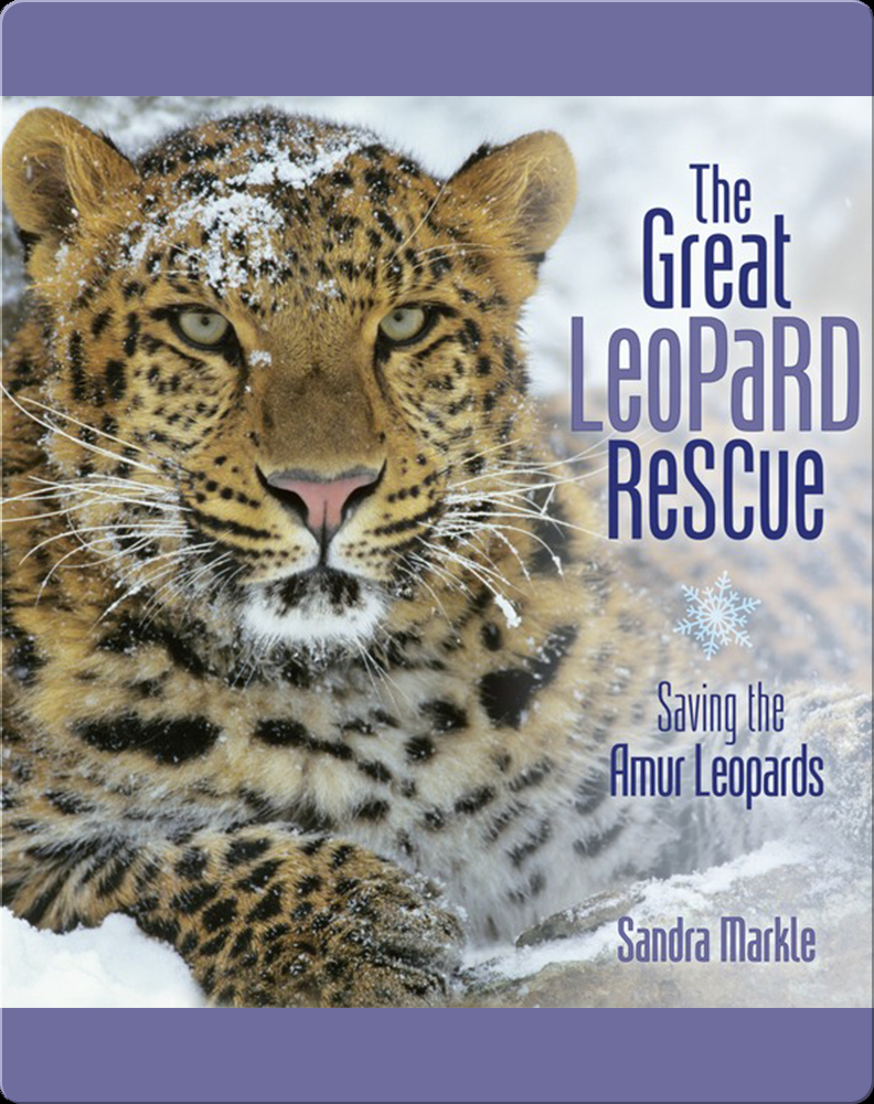 The Great Leopard Rescue: Saving the Amur Leopards Book by Sandra Markle | Epic