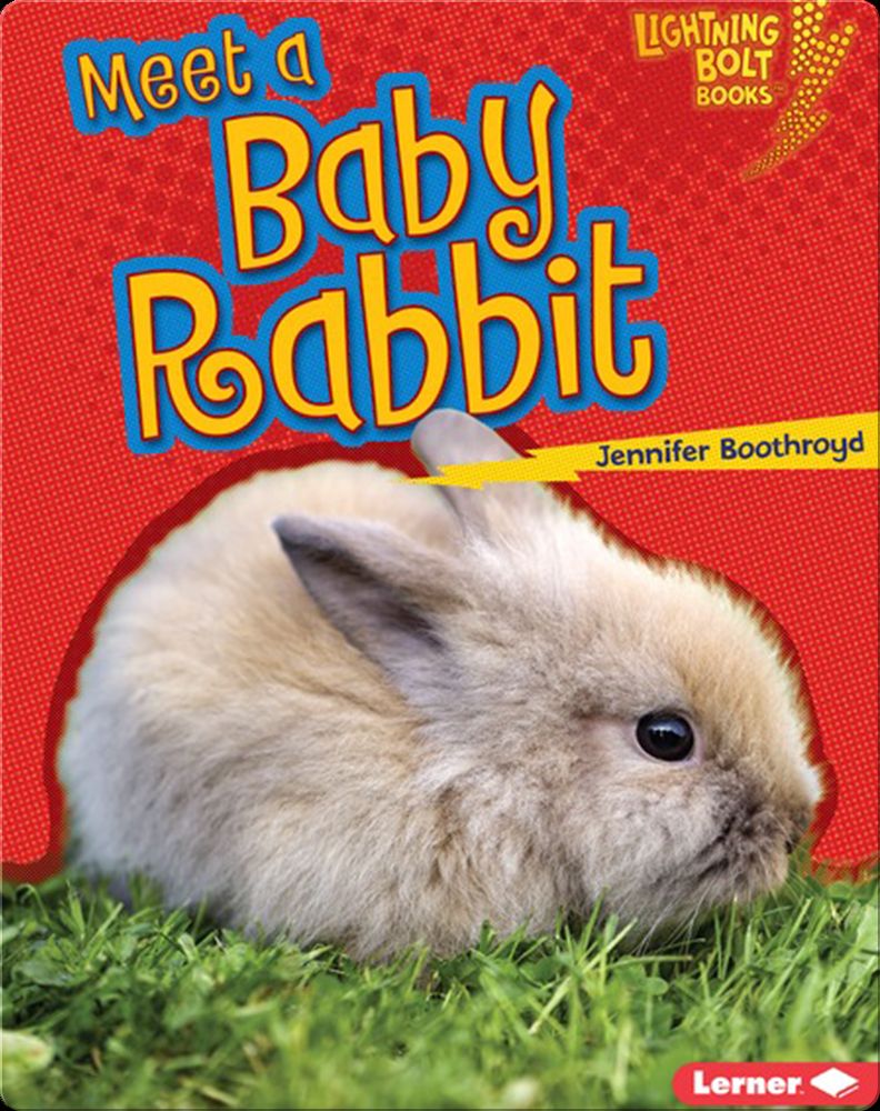 Meet a Baby Rabbit Book by Jennifer Boothroyd | Epic