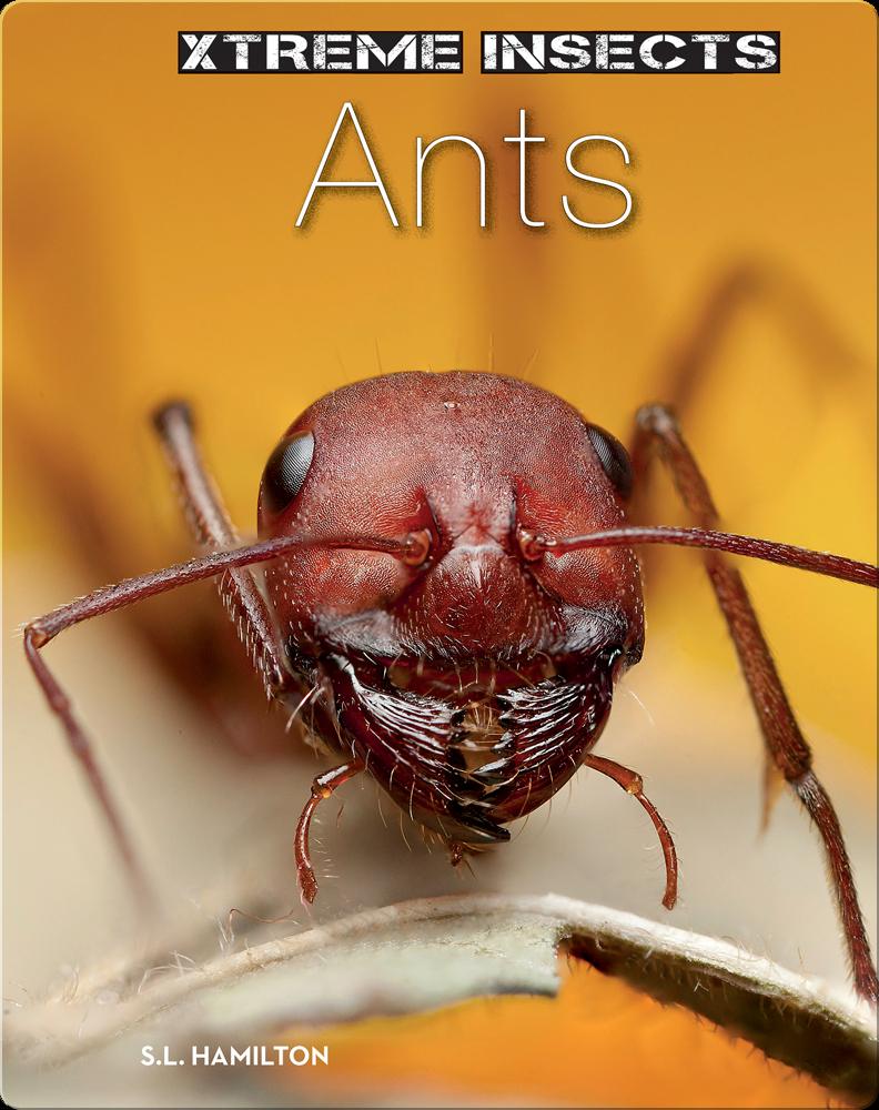 Ants Book by S.L. Hamilton | Epic
