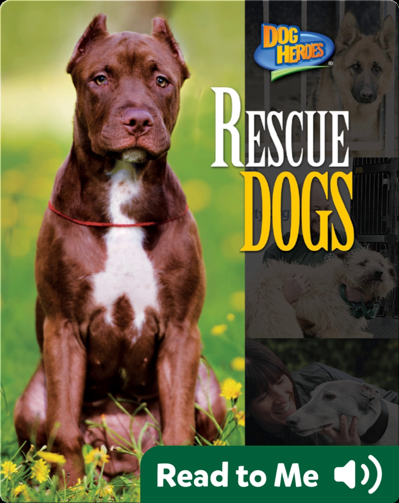 Rescue Dogs Book by Kevin Blake | Epic