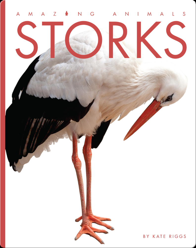 Storks Book by Kate Riggs | Epic