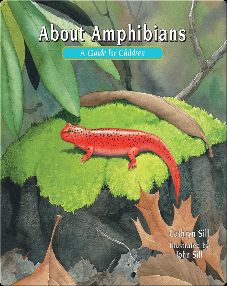 About Amphibians Book by Cathryn Sill, Cathryn Still | Epic