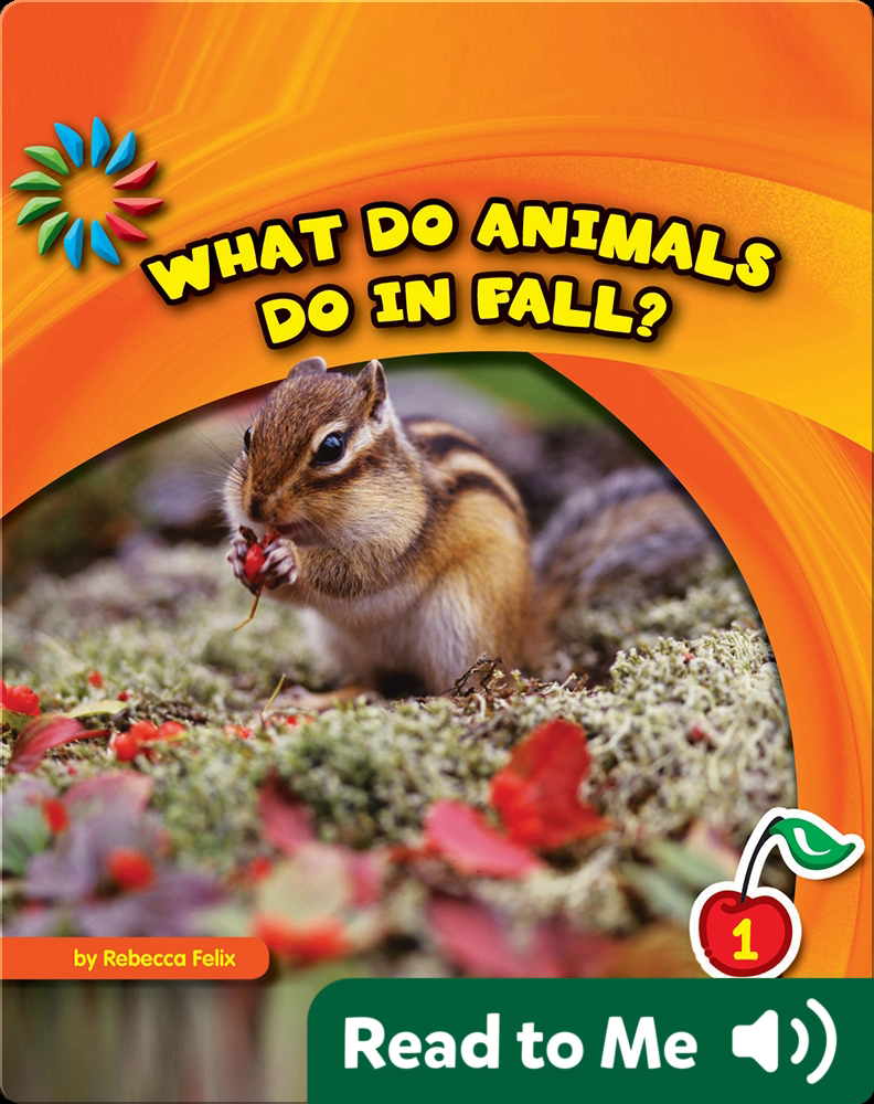 What Do Animals Do in Fall? Book by Rebecca Felix | Epic