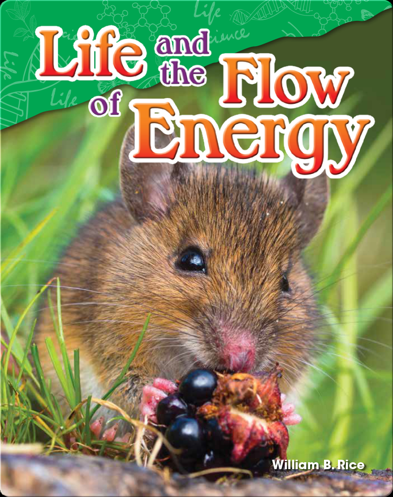 Life and the Flow of Energy Book by William B. Rice, William Rice | Epic