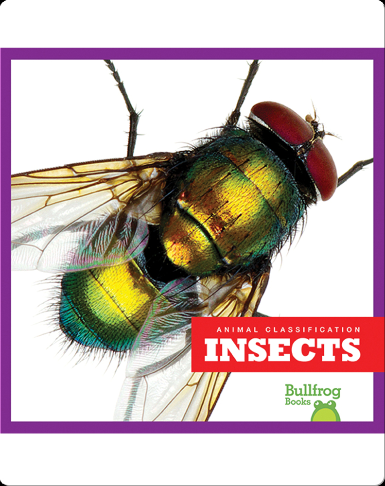 Animal Classification: Insects Book by Erica Donner | Epic