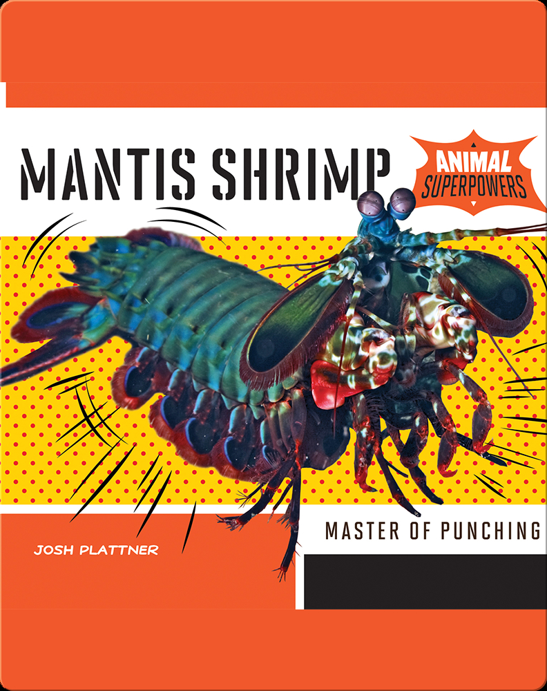Mantis Shrimp: Master of Punching Book by Josh Plattner | Epic