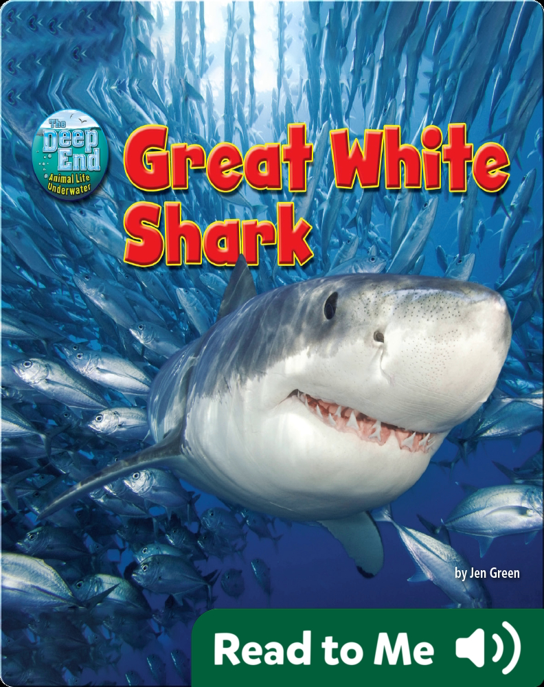 Great White Shark Book by Jen Green | Epic