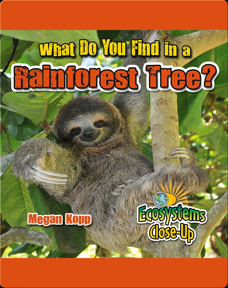 What Do You Find in a Rainforest Tree? Book by Megan Kopp | Epic