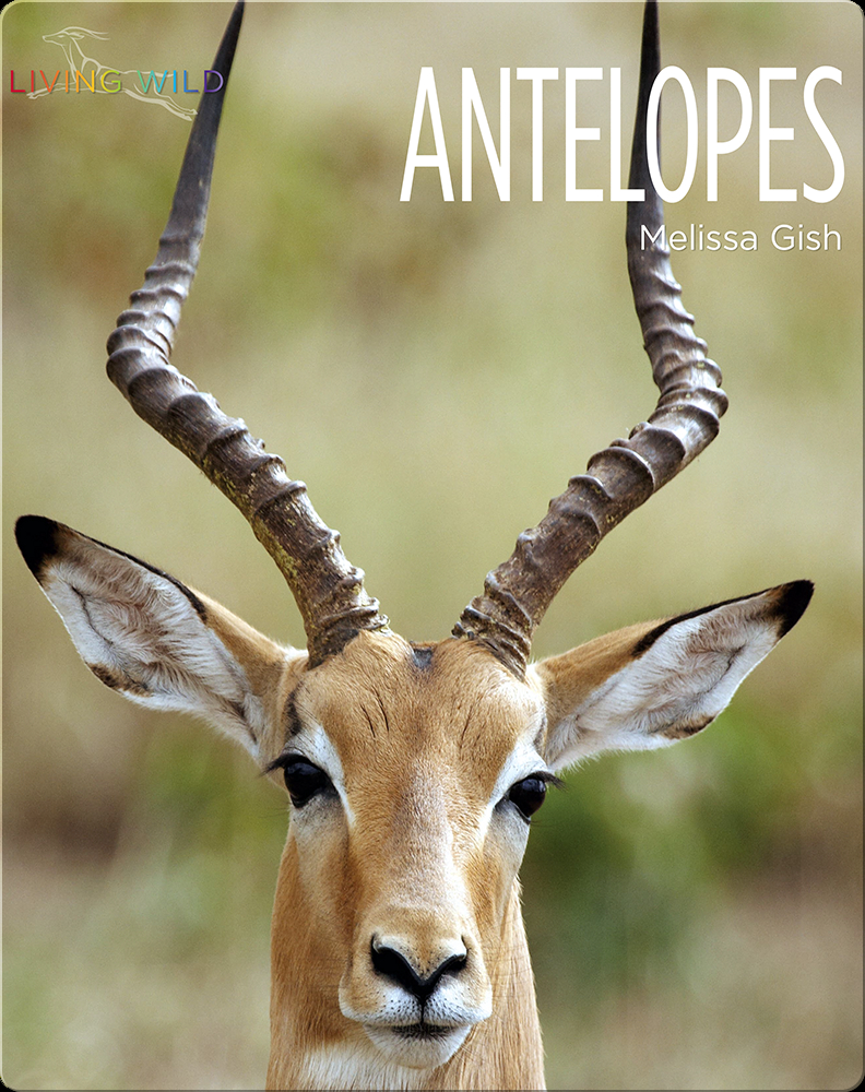 Antelopes Book by Melissa Gish | Epic
