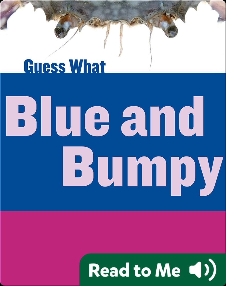 Blue and Bumpy Book by Felicia Macheske | Epic