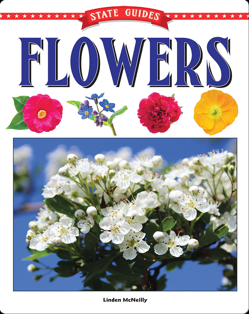 State Guides to Flowers Book by Linden McNeilly | Epic