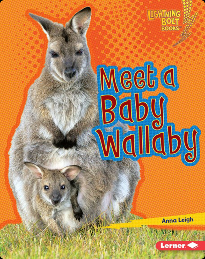 Meet a Baby Wallaby Book by Anna Leigh | Epic