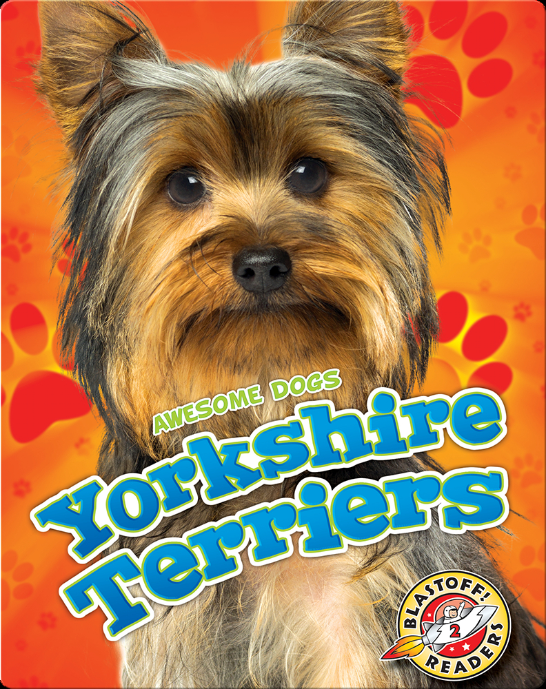 Awesome Dogs: Yorkshire Terriers Book by Mari Schuh | Epic